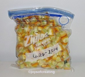 Flash-Frozen Unblanched Squash | Joys Of Creating
