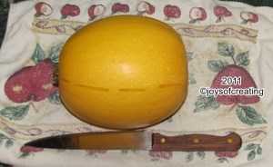 Baked Small Wonder Spaghetti Squash – winter squash | Joys Of Creating