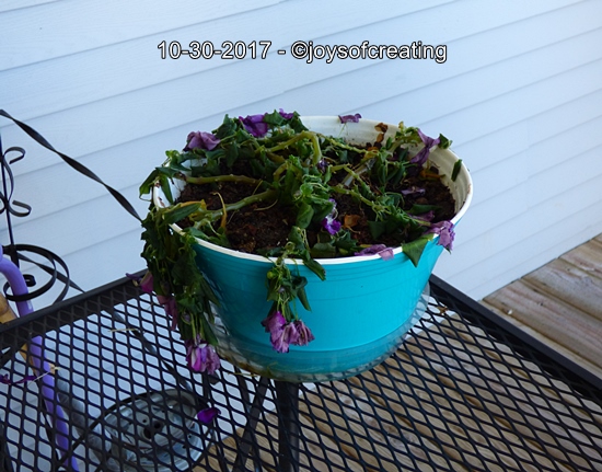 1st Heavy Frost 2017 | Joys Of Creating